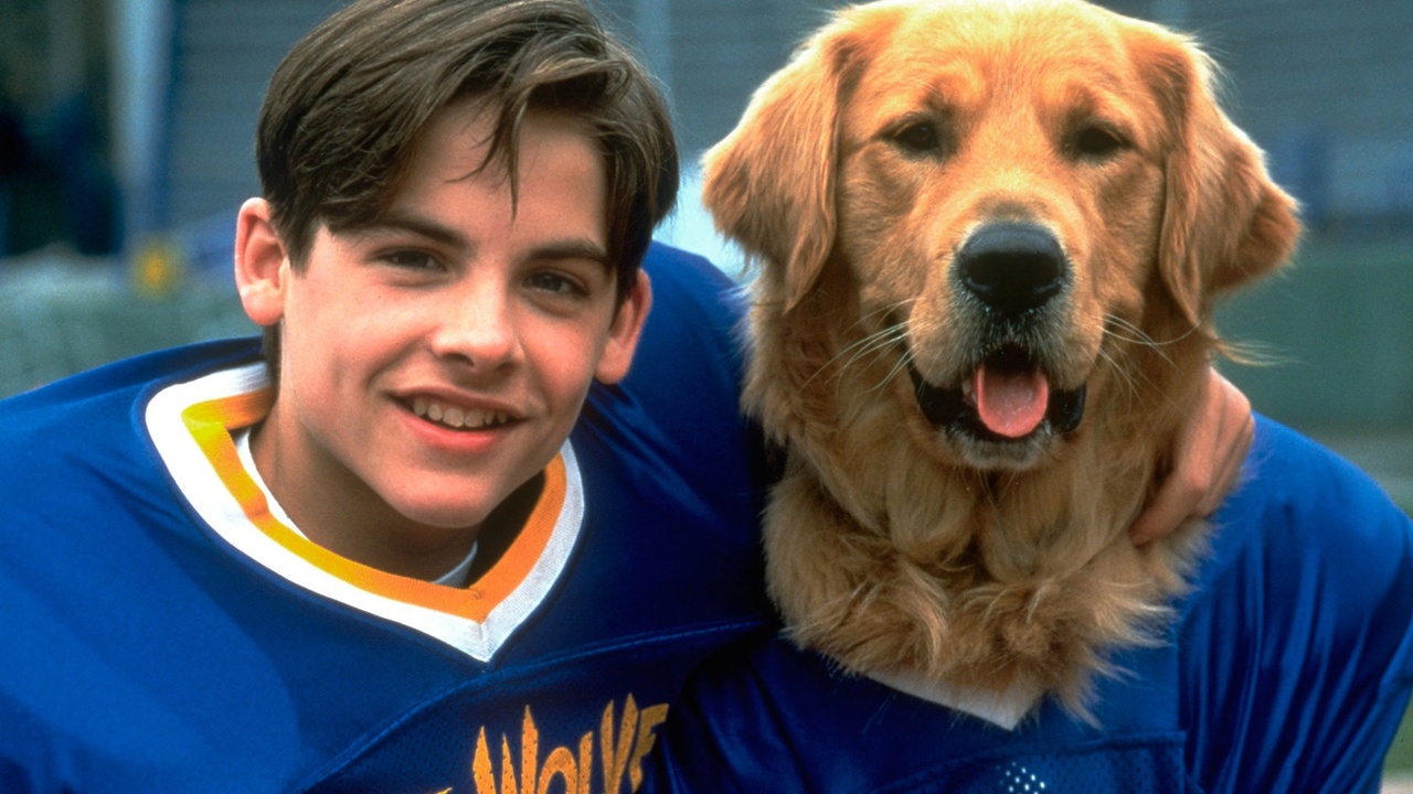 Air Bud Golden Retriever