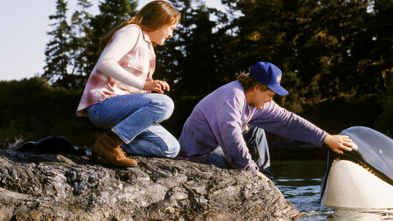 Free Willy 2 The Adventure Home Jesse And Nadine